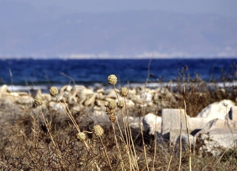 A day trip to Delos Island, Mykonos
