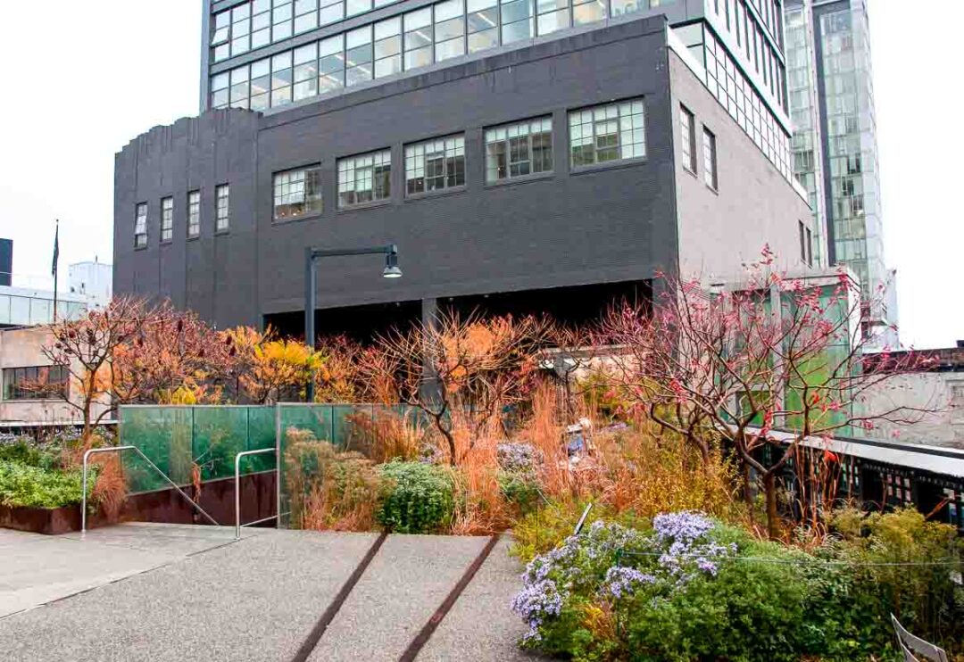The High Line, New York City: A guide to visiting