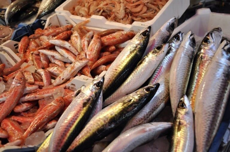 What to See and Do in Porto