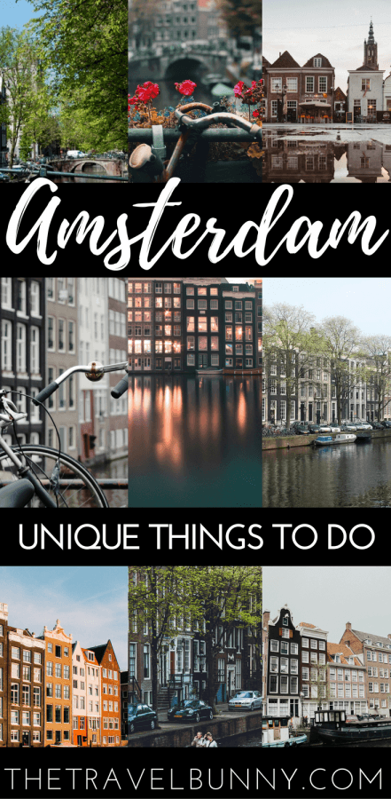 6 Cool and Quirky Things to do in Amsterdam