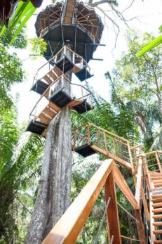 A Treehouse Stay in the Amazon Jungle
