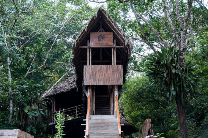 A Treehouse Stay in the Amazon Jungle