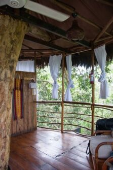 A Treehouse Stay in the Amazon Jungle