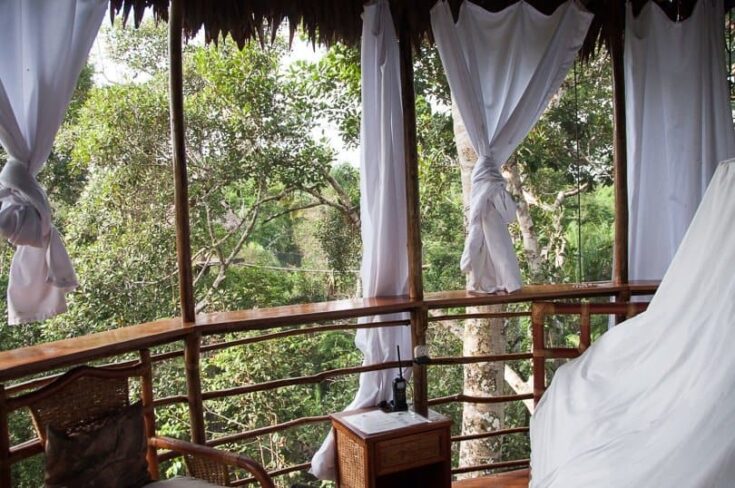 A Treehouse Stay in the Amazon Jungle
