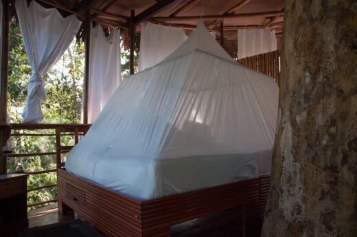 A Treehouse Stay in the Amazon Jungle