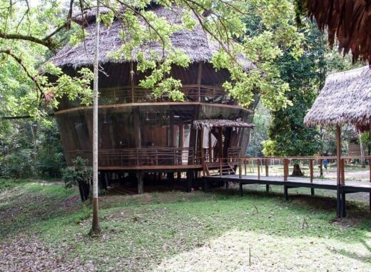 A Treehouse Stay in the Amazon Jungle