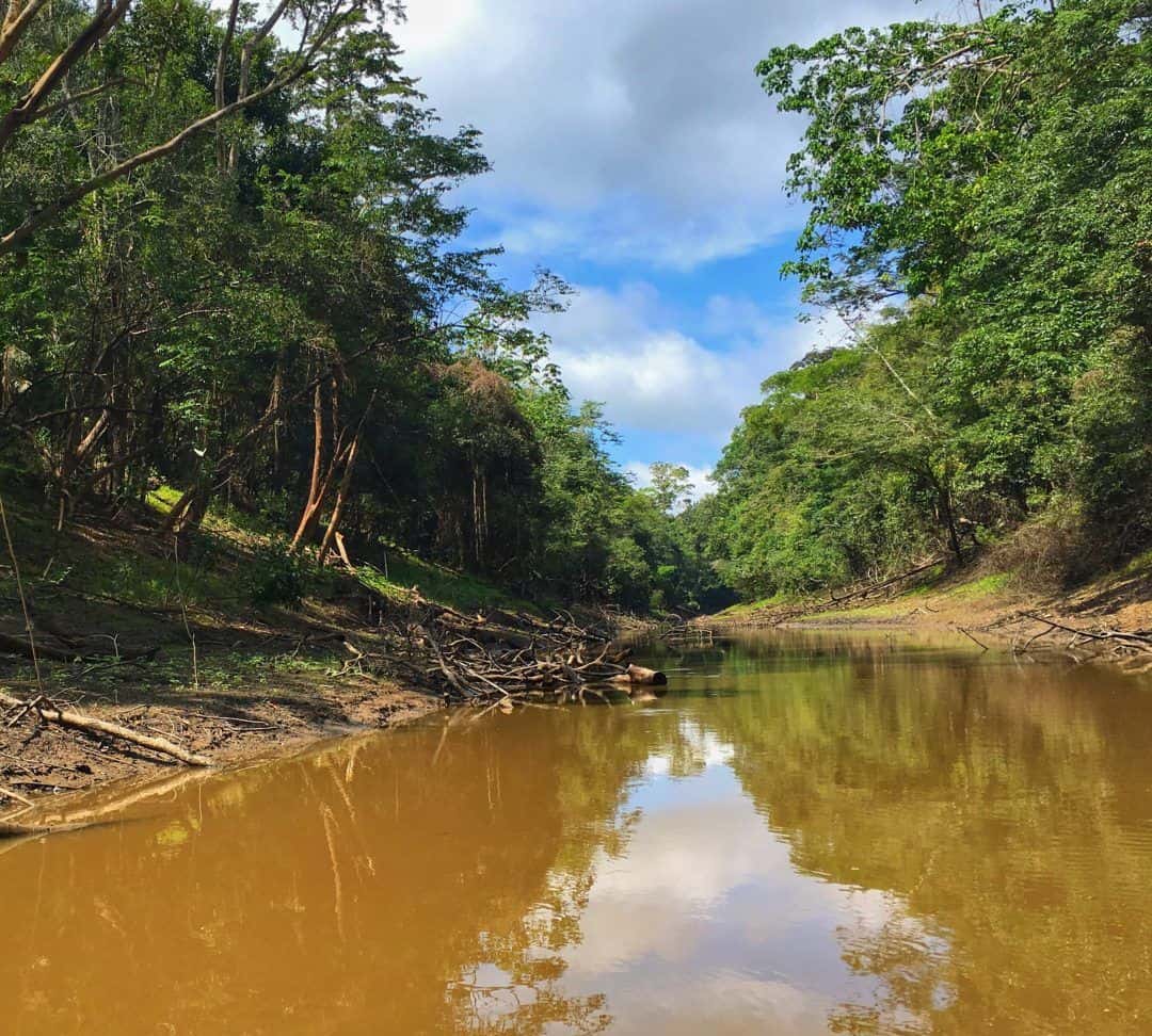 Adventure and Wildlife in the Amazon Jungle
