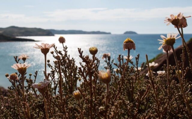 25 incredible things to do in Menorca, Spain