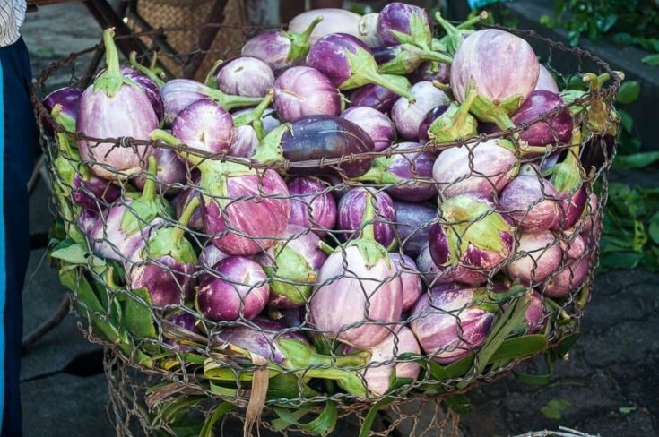 Food in Rodrigues – Eating my way round Rodrigues Island