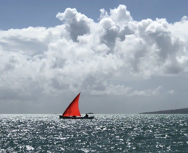 Best Things to do in Rodrigues Island, Mauritius | The Travelbunny