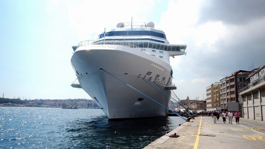 CRUISING | The Travelbunny