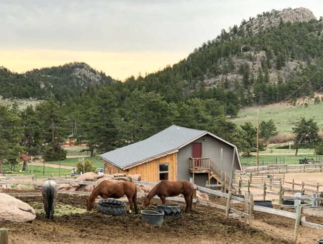 Saddling up on a Colorado Dude Ranch Holiday