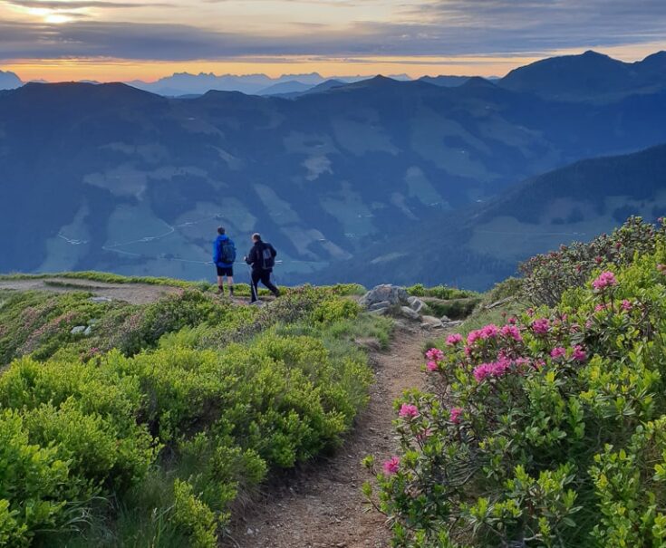 10 reasons to visit Alpbach in Summer