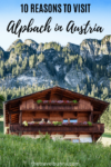10 reasons to visit Alpbach in Summer | The Travelbunny