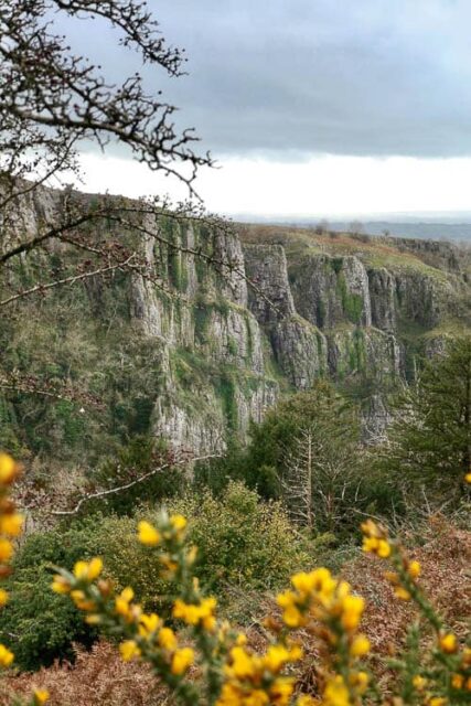 15 fabulous things to do in Cheddar, Somerset