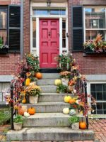 The Best Things to do in Boston in the Fall