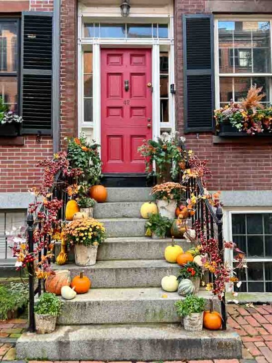 The Best Things to do in Boston in the Fall