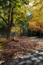 The Best Things to do in Boston in the Fall