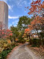The Best Things to do in Boston in the Fall