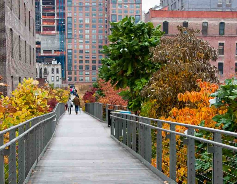The High Line, New York City: A guide to visiting