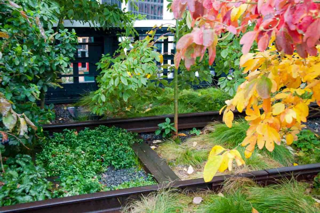 The High Line, New York City: A guide to visiting