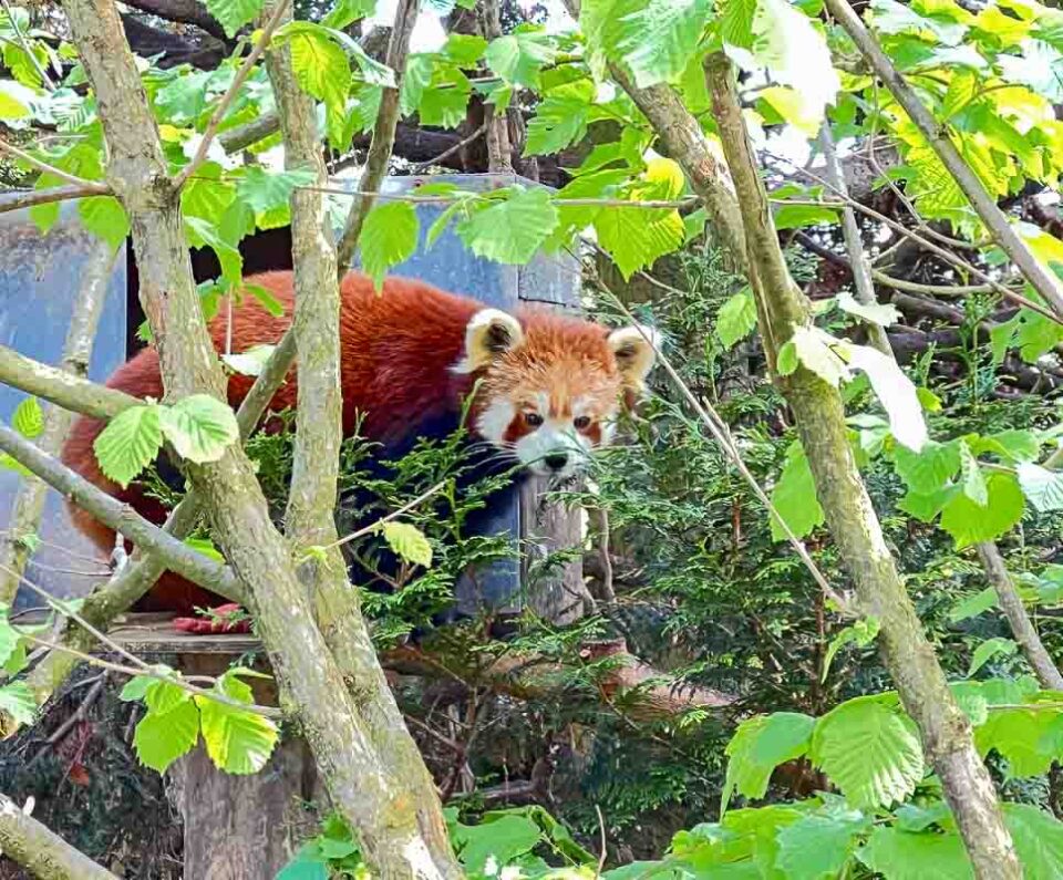 25+ Top Things to do in Blackpool, UK