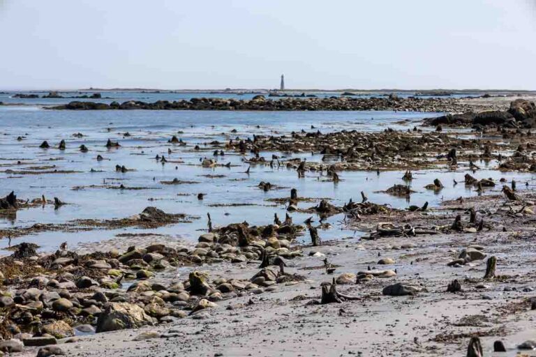 Discovering Nova Scotia's Lighthouses on a coastal road trip