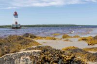 Discovering Nova Scotia's Lighthouses on a coastal road trip