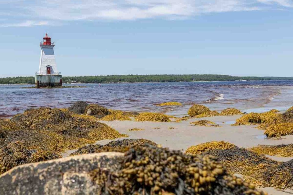 Discovering Nova Scotia's Lighthouses on a coastal road trip